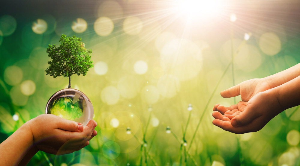 SEMINAIRE ECOCOMPLEX 2022 | sciences.univ-amu.fr
